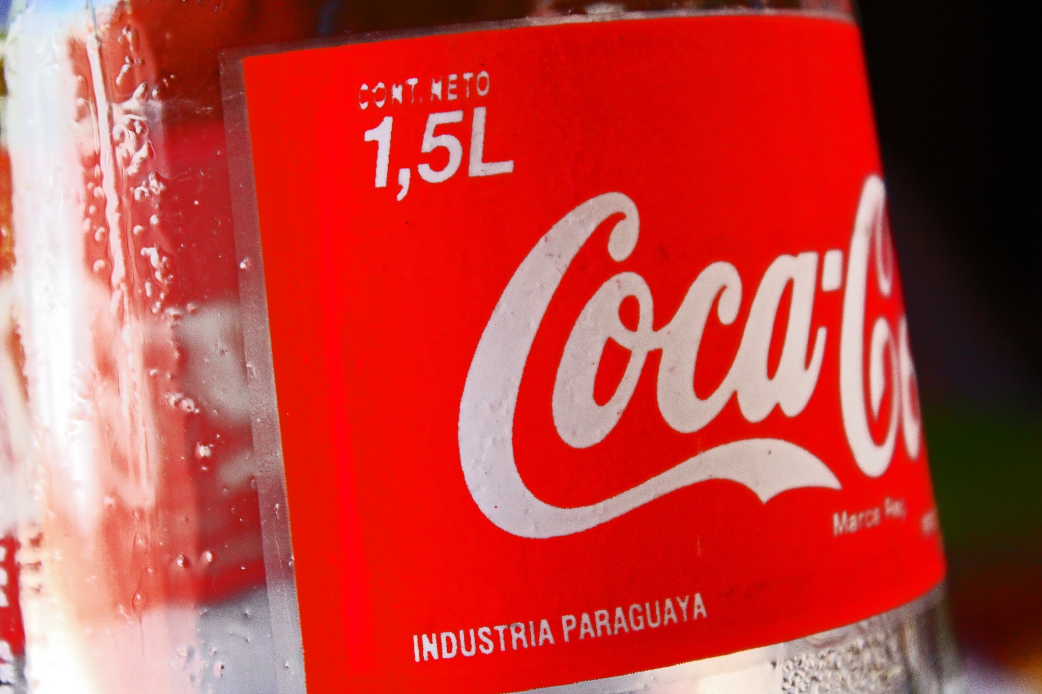 Photo Gallery - Hola Español Language School CT